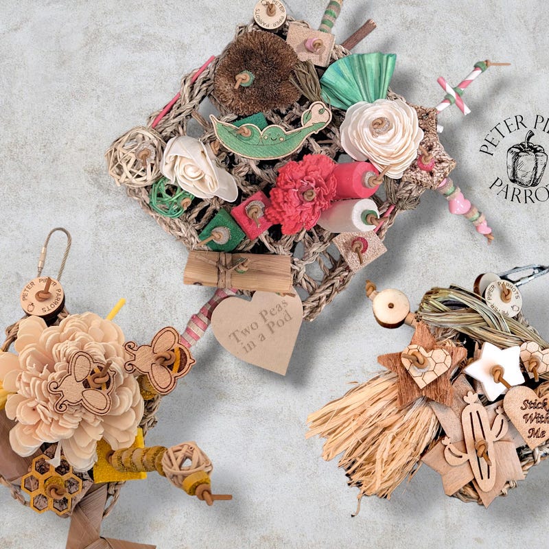 Baby Parrot Toys - Etsy