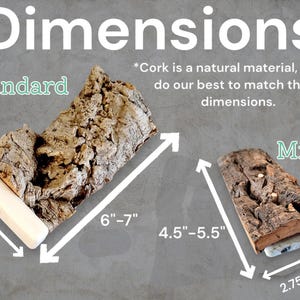 Natural Cork Bird Shelf/flat Perch | Promote Foot Health and Mental ...