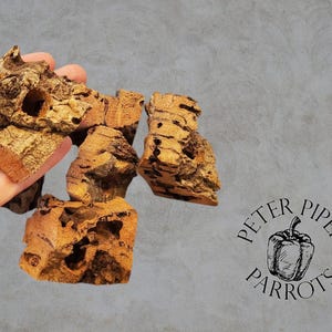 Refillable Cork Kabob Bird Perch | Promote Foraging and Mental ...