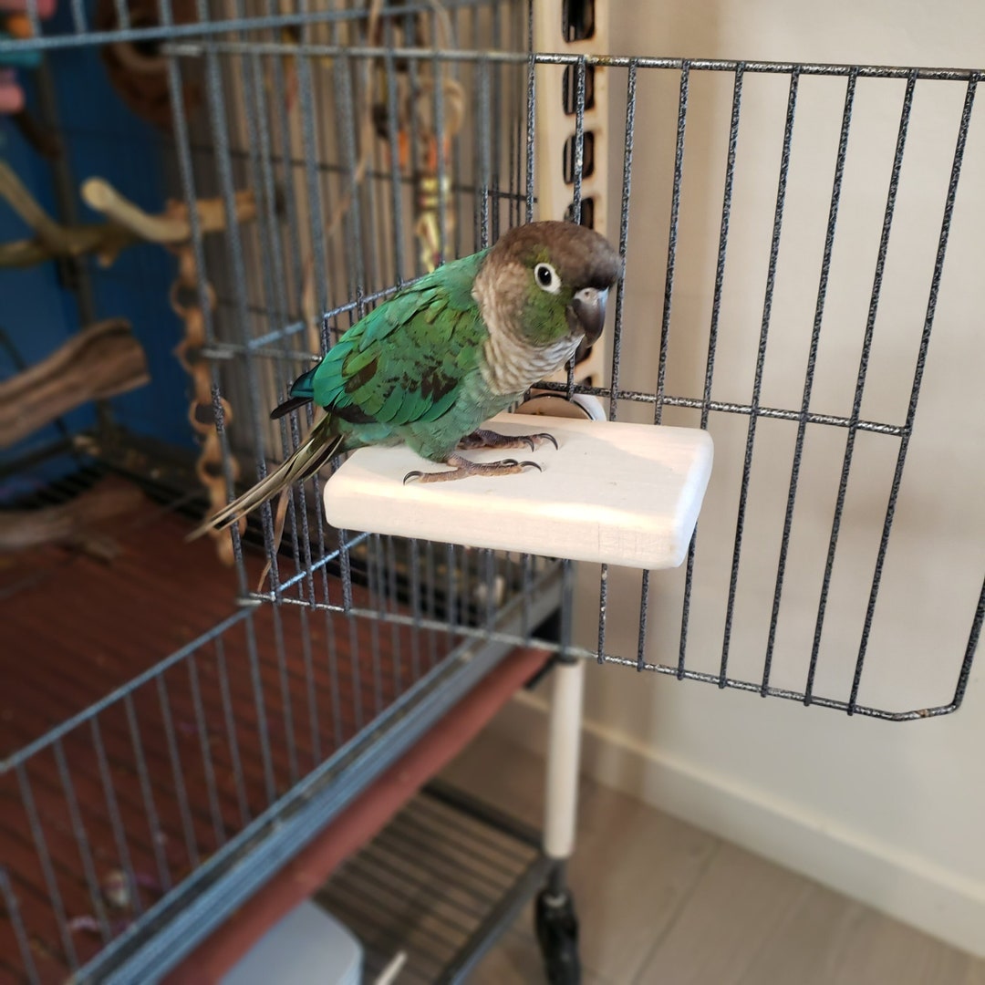 Bird Shelf Perches Natural Wood Bird Shelf/flat Perch - Etsy