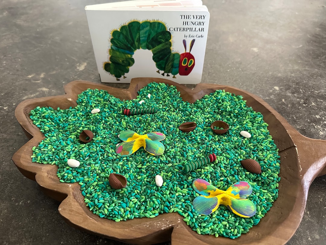 Butterfly Life Cycle Kit - Etsy