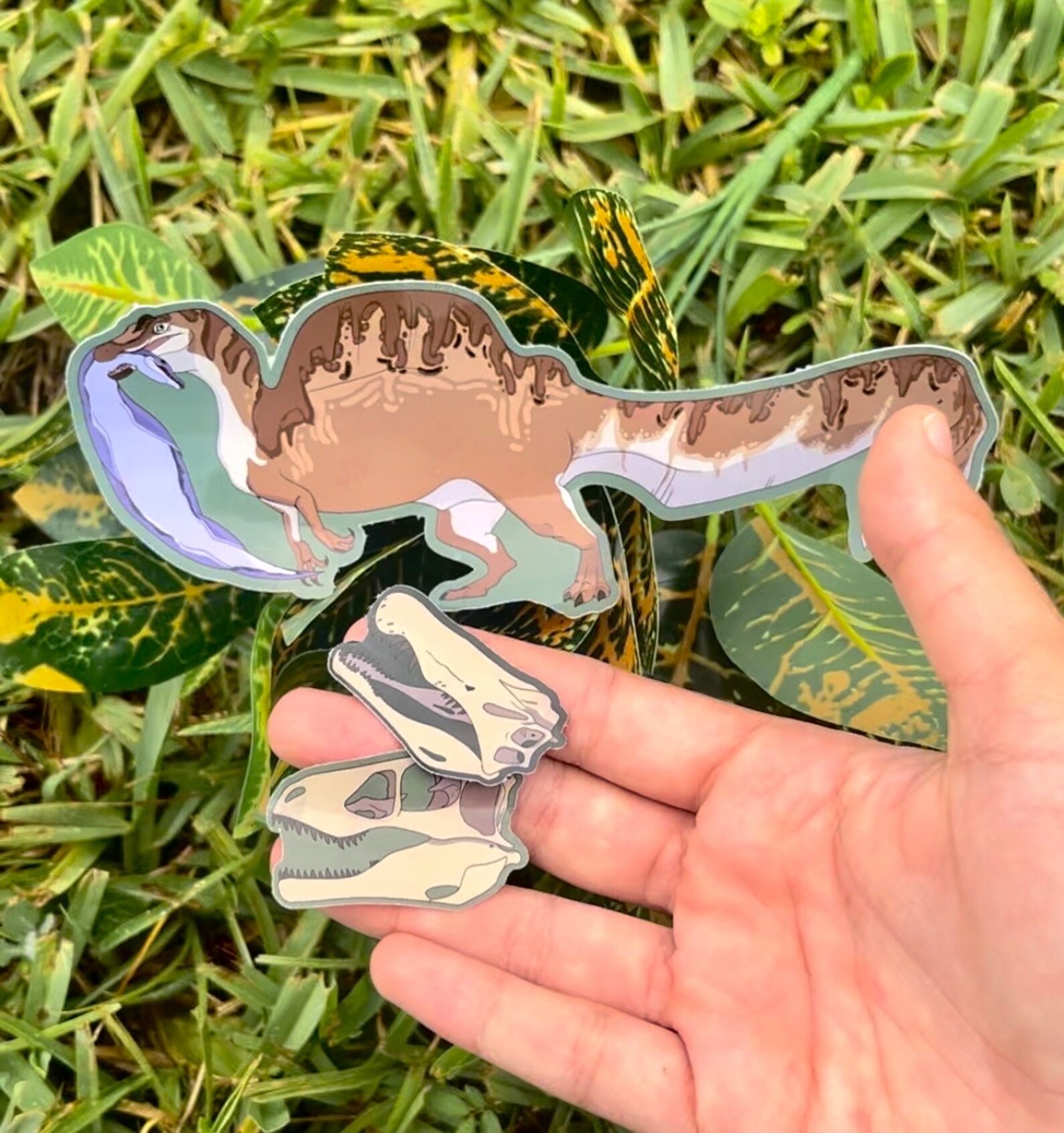 Spinosaurus Sticker - Etsy