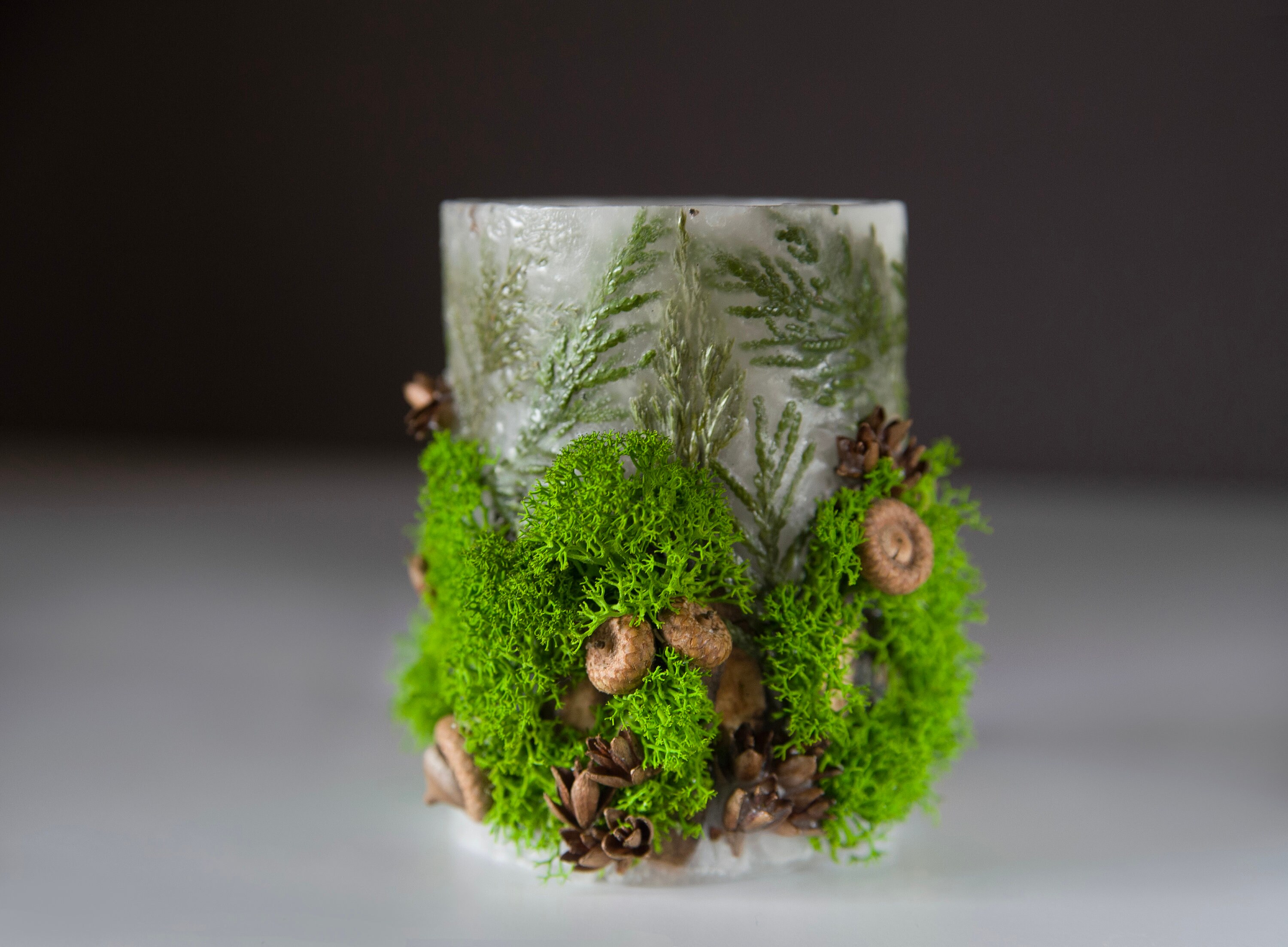 Forest Candle With Stabilized Moss Wood Scented Candle Enchanted Forest ...
