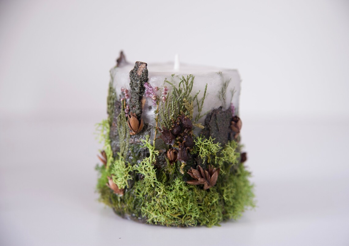 Forest Candle With Stabilized Moss Wood Scented Candle Enchanted Forest ...