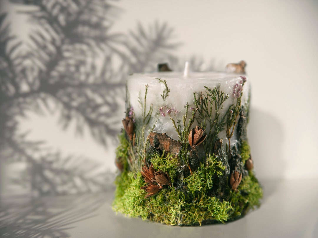 Wood Scented Candle: Cool Forest Candle of Soy Wax Decorated With Stabilized Moss - Etsy