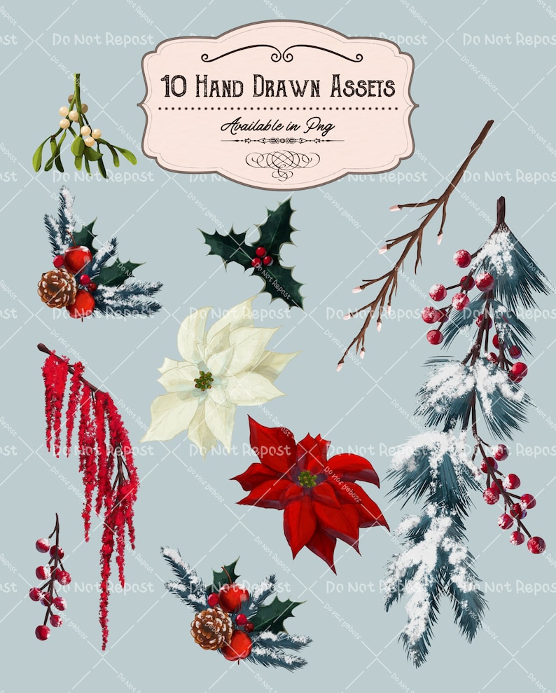 Winter Greenery Hand Drawn Clipart, Winter Bundle Clipart, Christmas ...