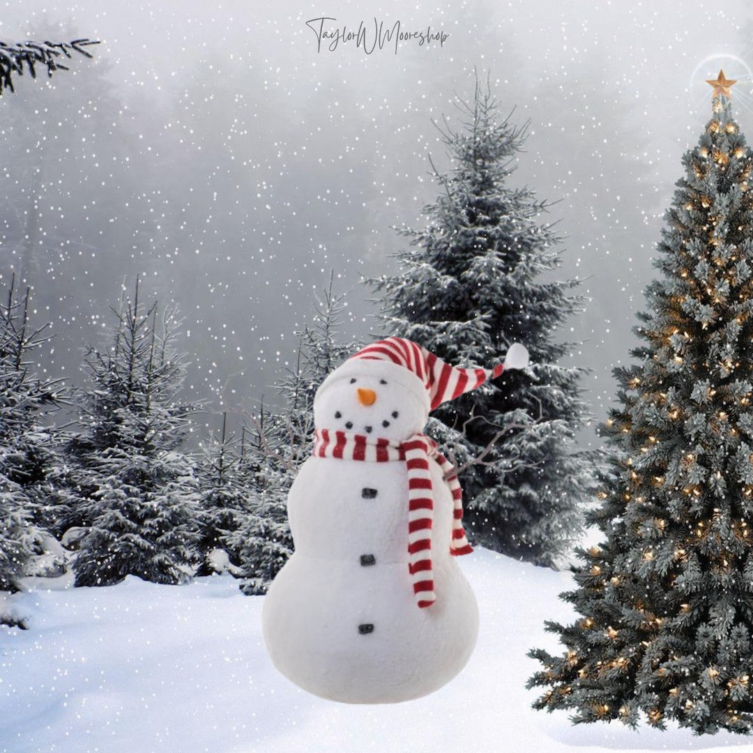 Styrofoam Snowman in Red and White Standing Happy Wearing a - Etsy
