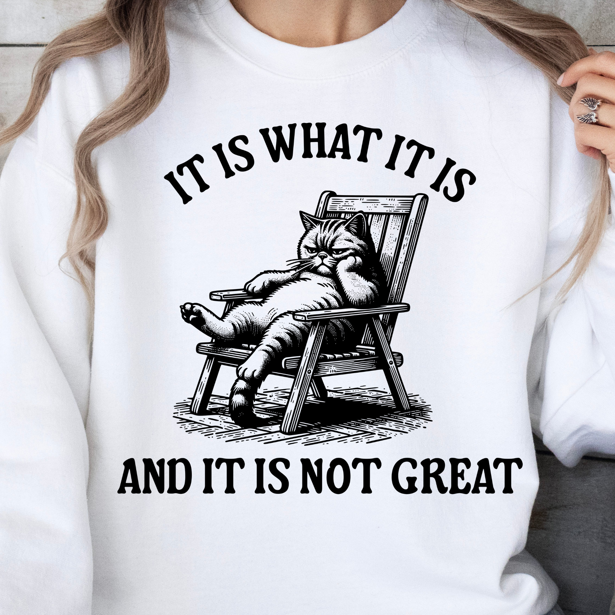 It is What It is and It is Not Great SVG PNG Files, Funny Cat PNG, Cat ...