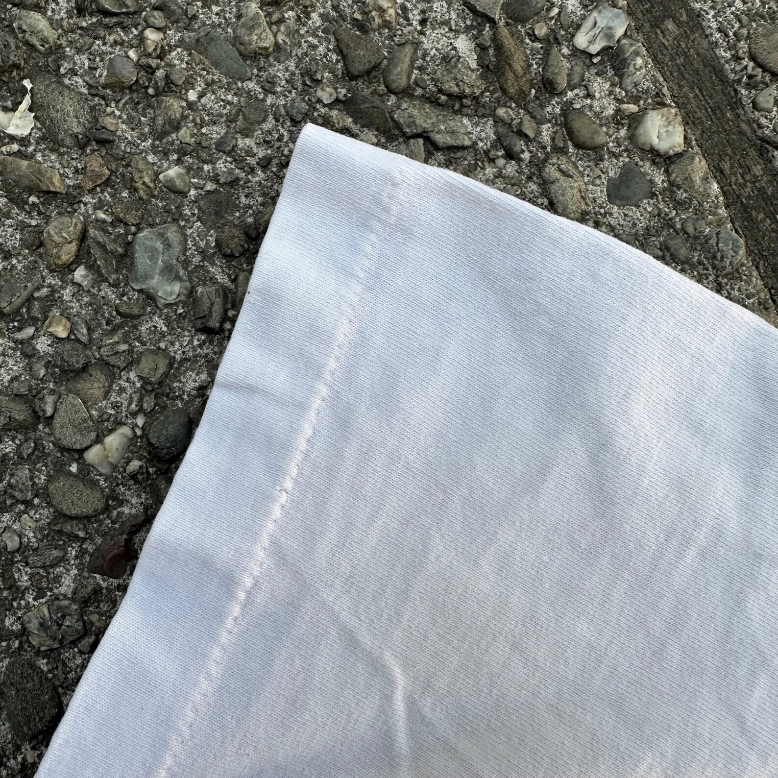 Screeching Weasel - RARE 1990s Vintage "logo" T-shirt (B1)- - Etsy