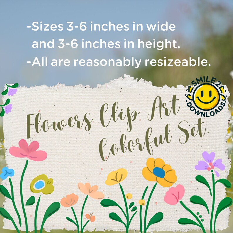 Flowers Clip Art Colorful Set, Instant Download, PNG Clip Art, Digital ...