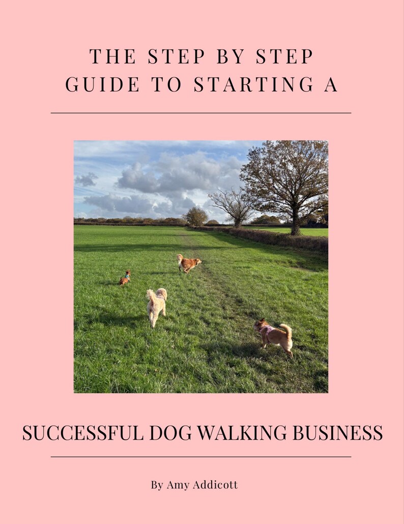 The Step-by-step Guide to Starting a Successful Dog Walking Business - Etsy
