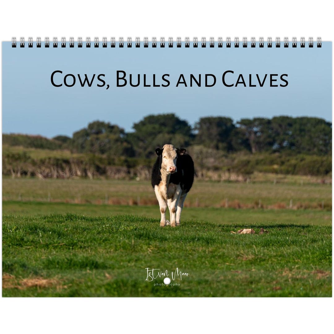 2026 Cows, Bulls and Calves Wall Calendar | LT Horizontal | 2284 Sunday ...