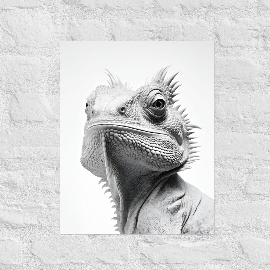 Black and White Lizard Print Close up Lizard Print. - Etsy