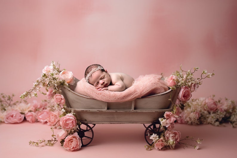 Flower Newborn Digital Background, Newborn Composite Digital Backdrop ...