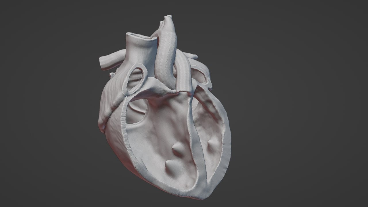 3d Stl Model,3d Anatomical Heart Model,3d Stl Human Heart Drawing,stl ...