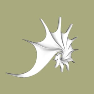 3d Sea Shell Relief Model-3d Stl Model-cnc Machine and 3d Printer Files ...