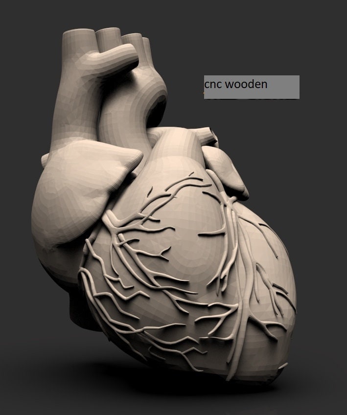 3d Stl Model,3d Human Heart Files,3d Printer and Printing Files,stl for ...