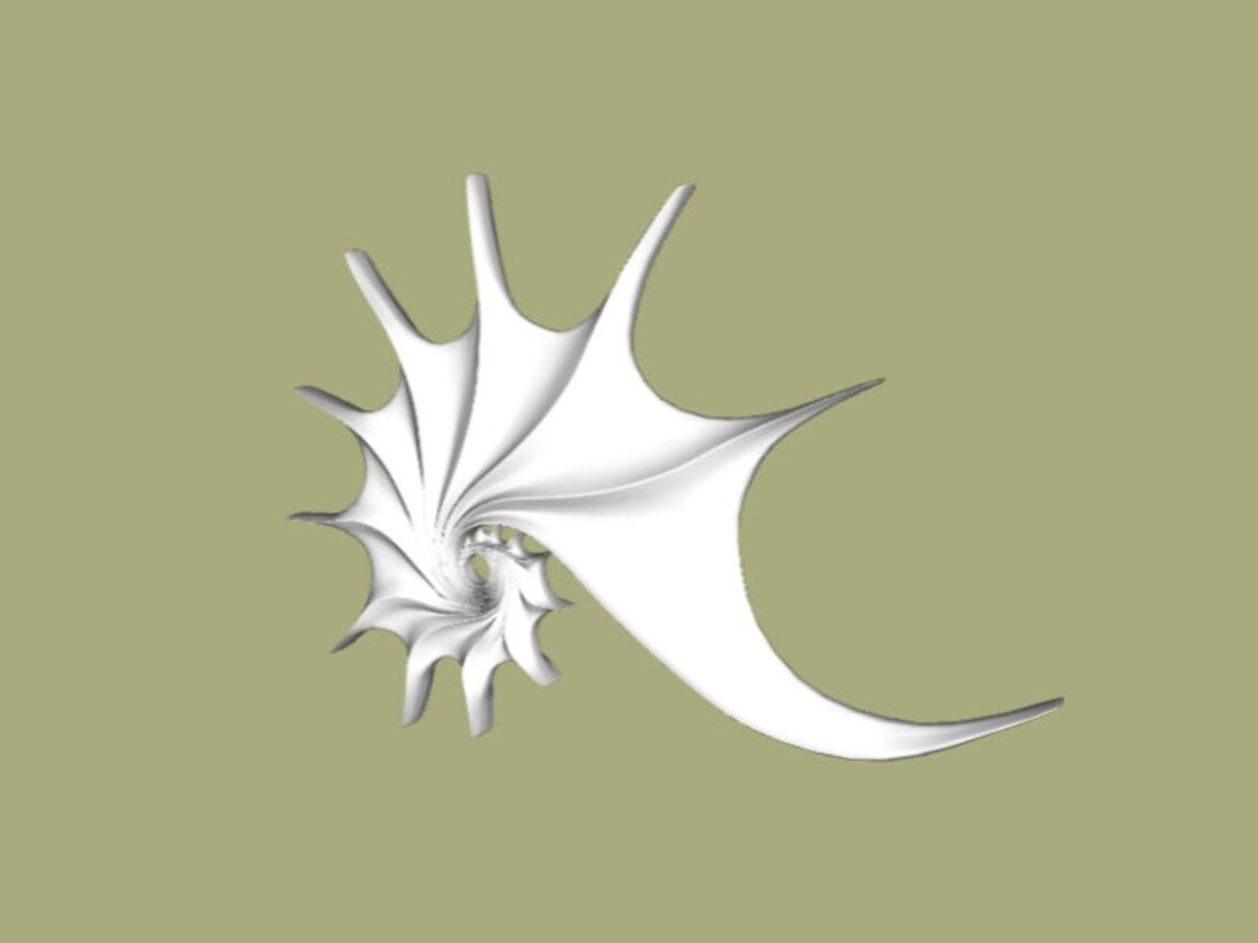 3d Sea Shell Relief Model-3d Stl Model-cnc Machine and 3d Printer Files ...