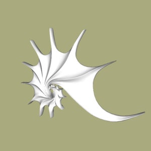 3d Sea Shell Relief Model-3d Stl Model-cnc Machine and 3d Printer Files ...