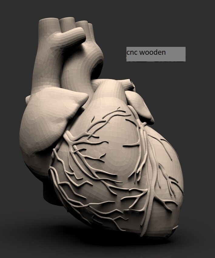 3d Stl Model,3d Human Heart Files,3d Printer and Printing Files,stl for ...