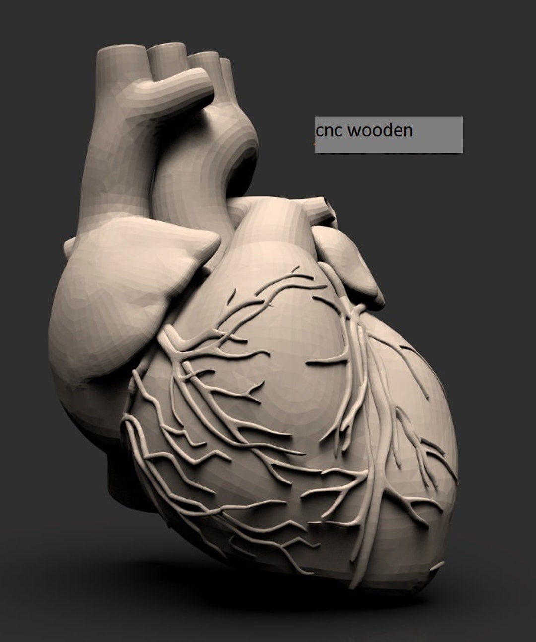 3d Stl Model,3d Human Heart Files,3d Printer and Printing Files,stl for ...