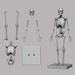 3d Stl Model,3d Skeleton Stl Files,3d Printer and Printing Files,stl ...
