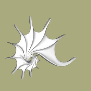 3d Sea Shell Relief Model-3d Stl Model-cnc Machine and 3d Printer Files ...