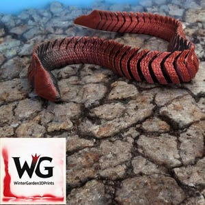 Articulated EEL 3D Print Gift Glow in the Dark, Multicolor - Etsy