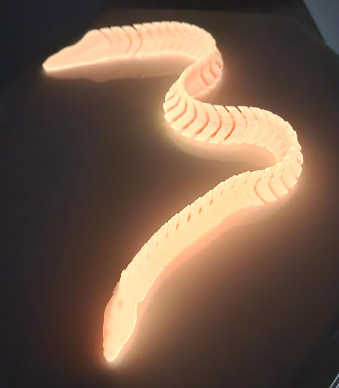 Glow in the Dark Articulated EEL 3D Print Gift - Etsy