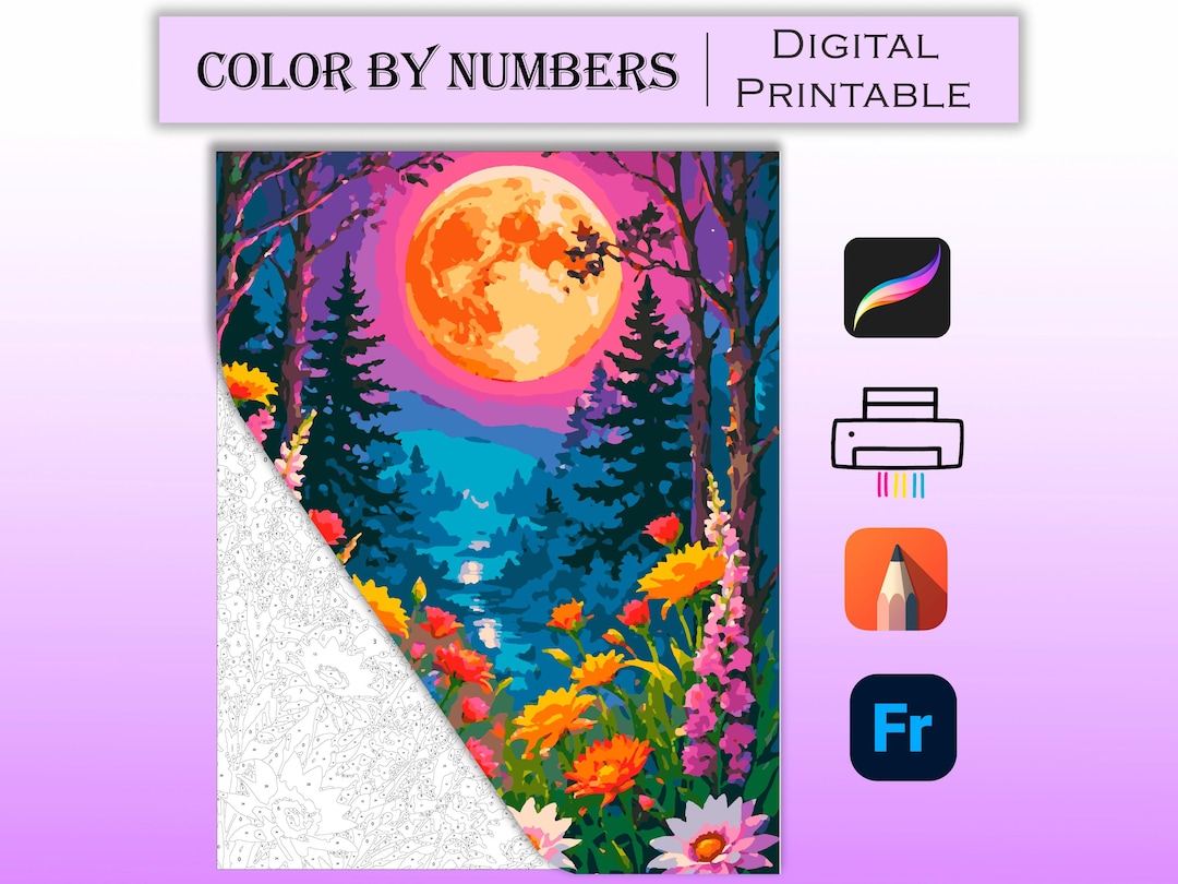 Color by Number for Adult, Paint by Numbers, Coloring Page Night ...