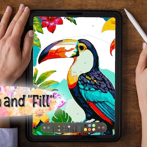 Color by Numbers for Adults, Paint by Numbers, Coloring Page Toukan ...