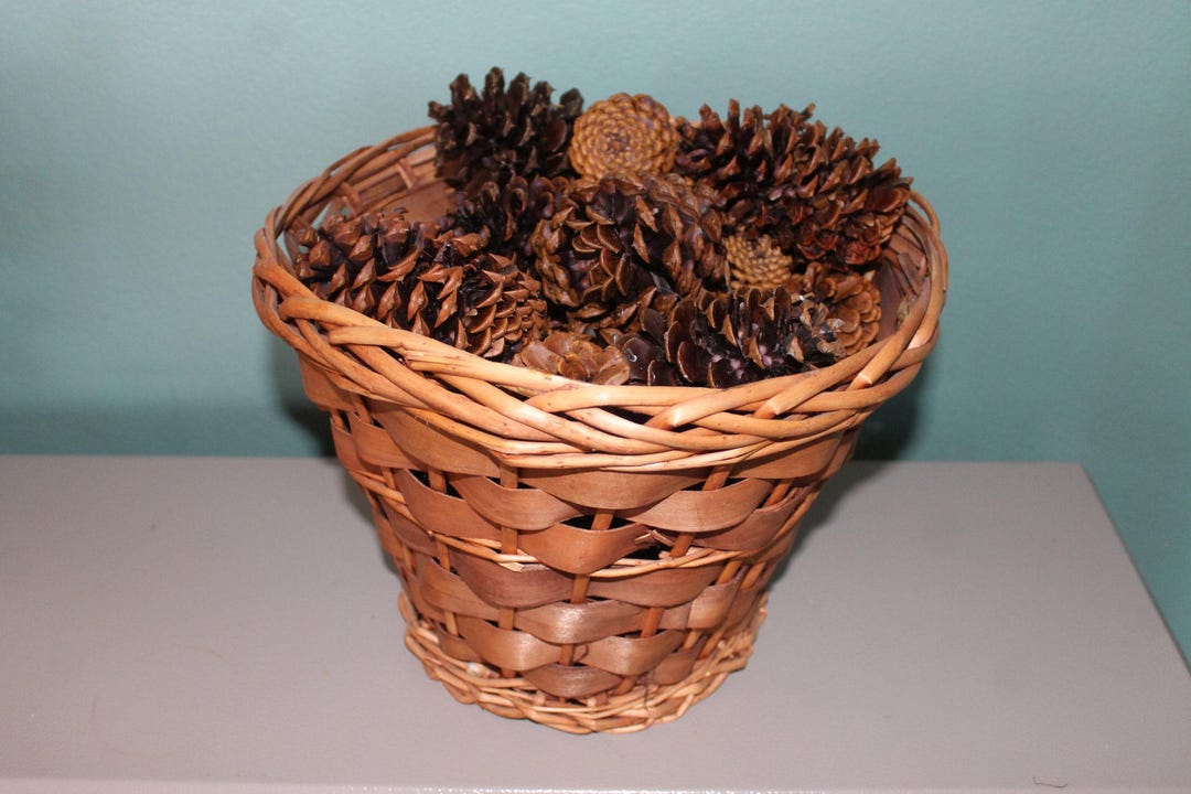 Waxed Pinecones for Fire Starters in Willow Basket-50+ Natural Organic ...
