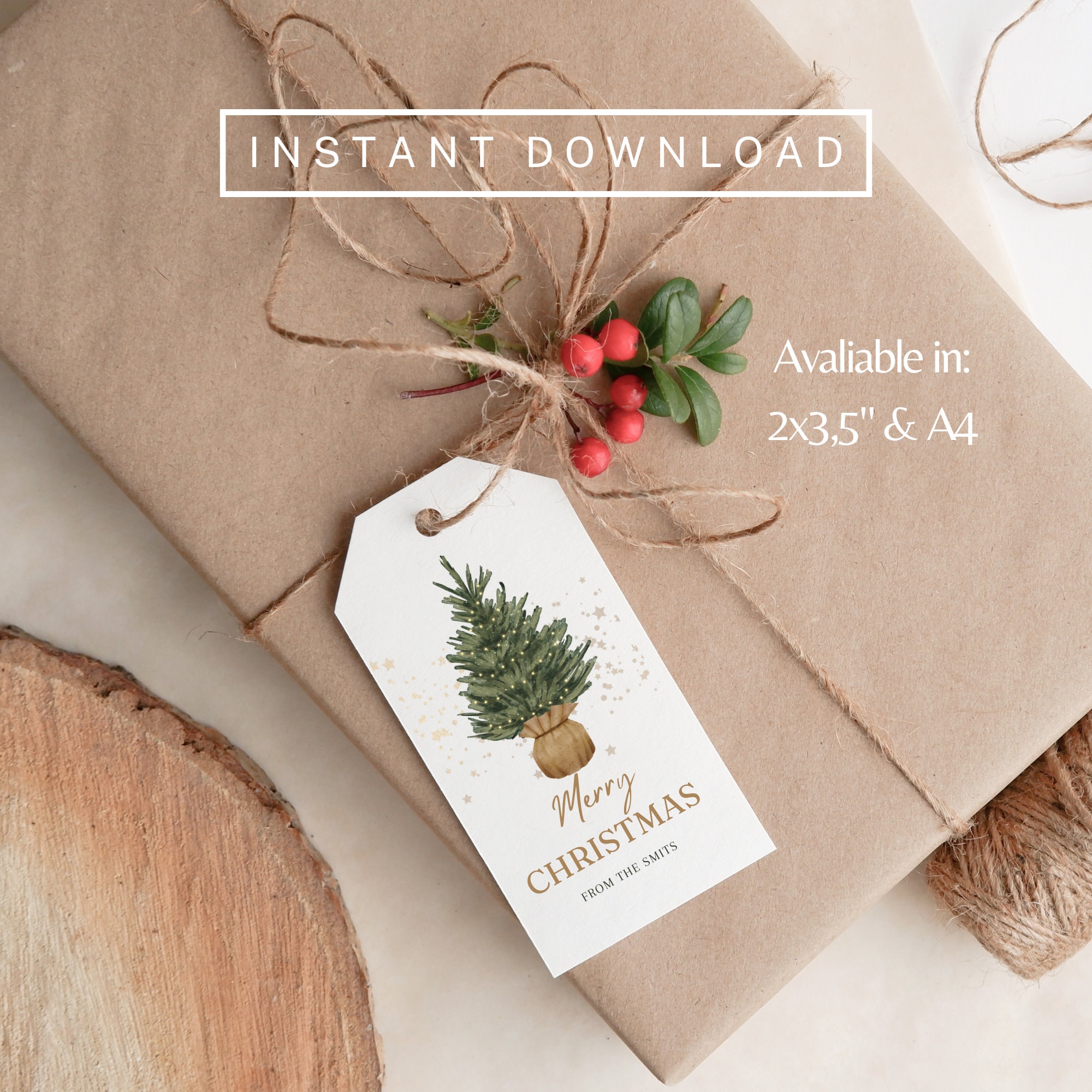 Merry Christmas Gift Tag Printable, Printable Christmas Gift Tag ...