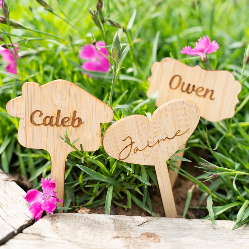 Plant Name Tags - Etsy
