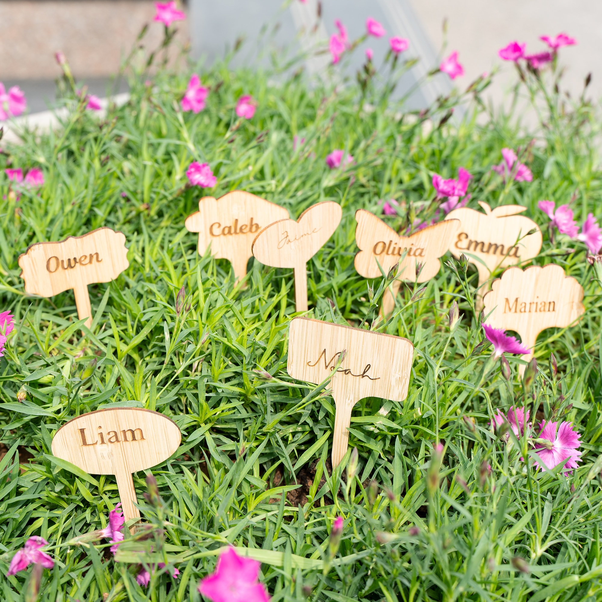 Custom Bamboo Plant Tags: Personalized Garden Markers - Etsy