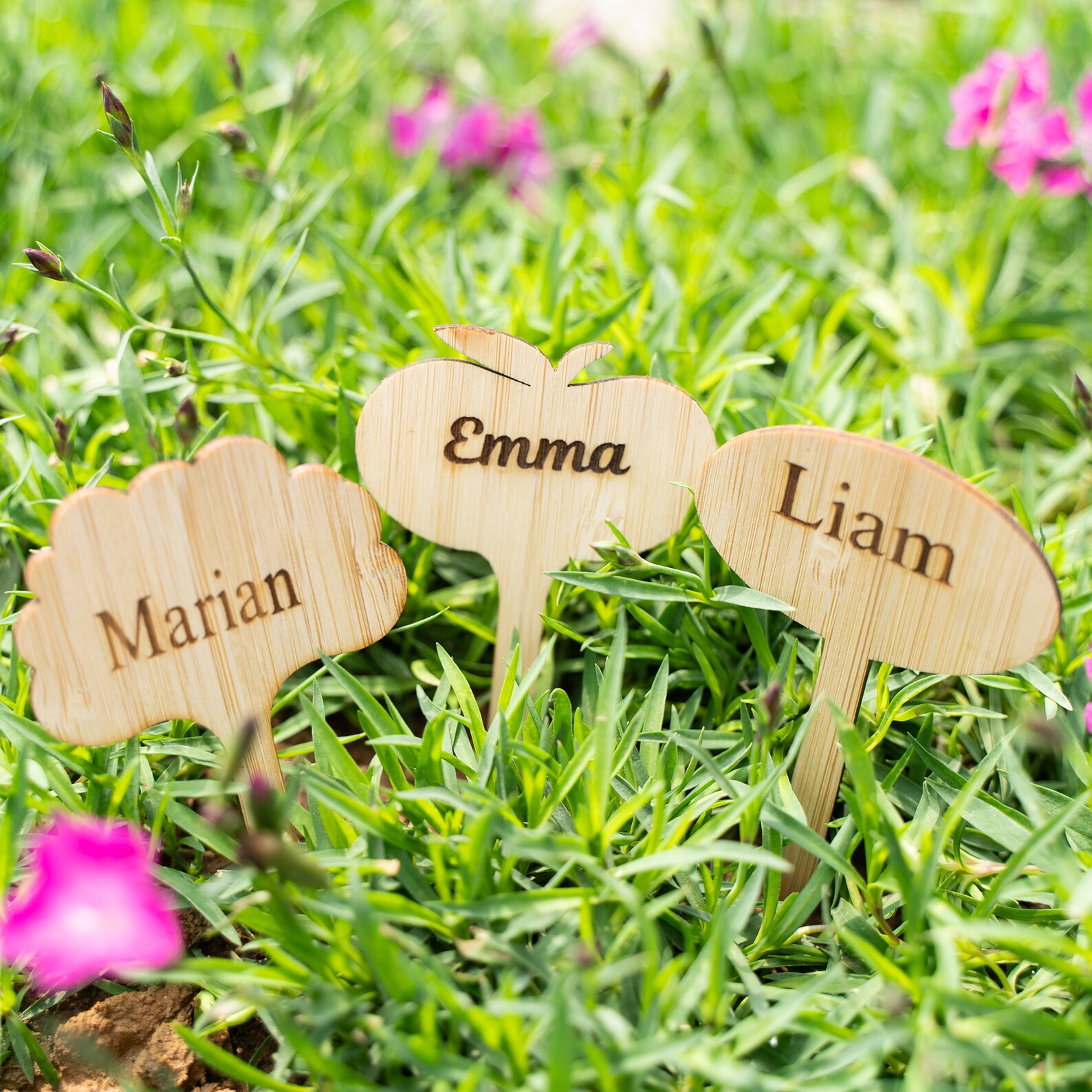 Custom Bamboo Plant Tags: Personalized Garden Markers - Etsy