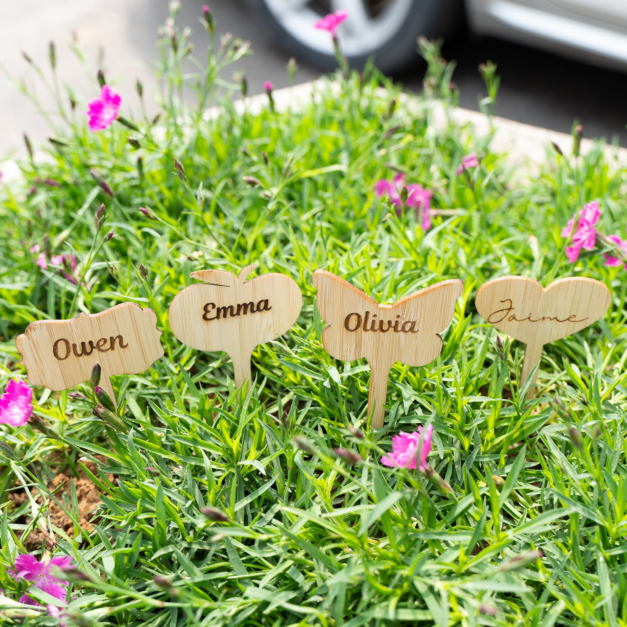Custom Bamboo Plant Name Stakes: Garden Labels, Plant Lover Gift - Etsy