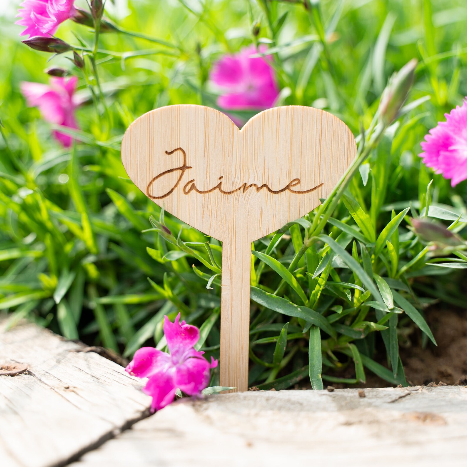 Custom Bamboo Plant Name Stakes: Garden Labels, Plant Lover Gift - Etsy