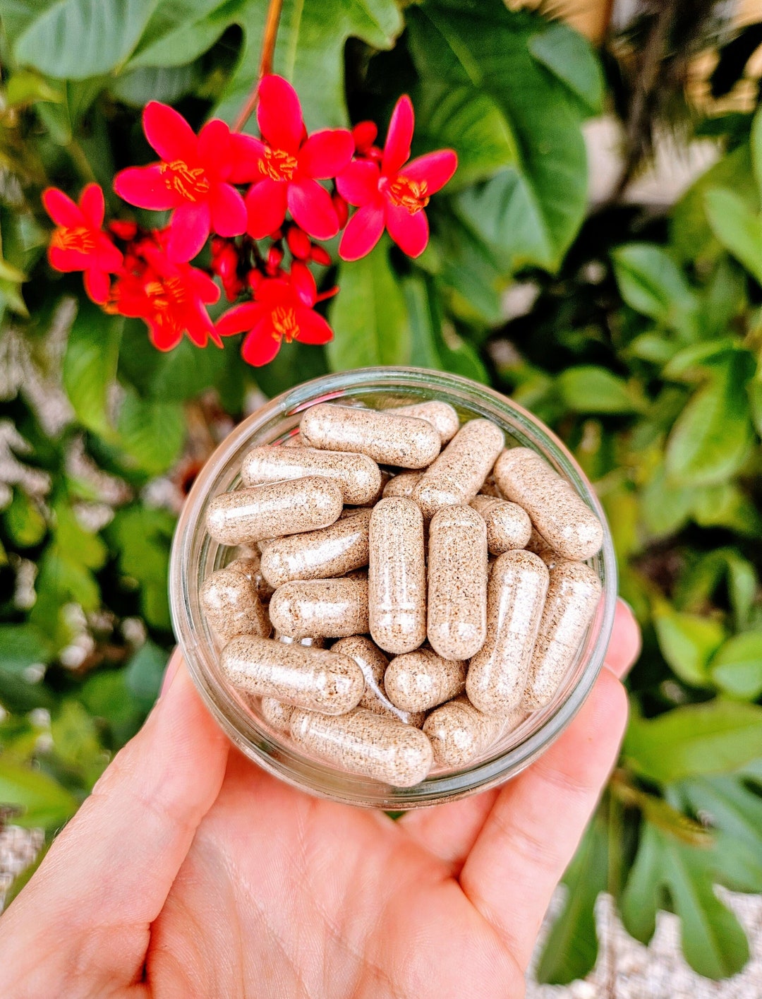 Liver Lift Cleansing Herbal Capsules With Milk Thistle Seed, Dandelion ...