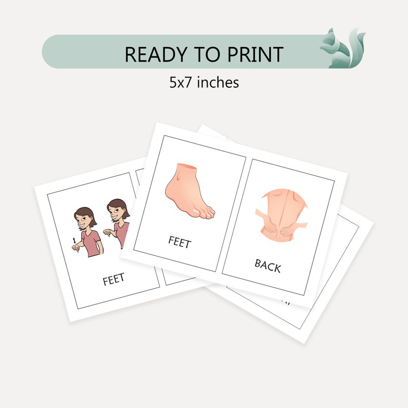 Body Parts Flashcards in American Sign Language, Educational ASL Body ...