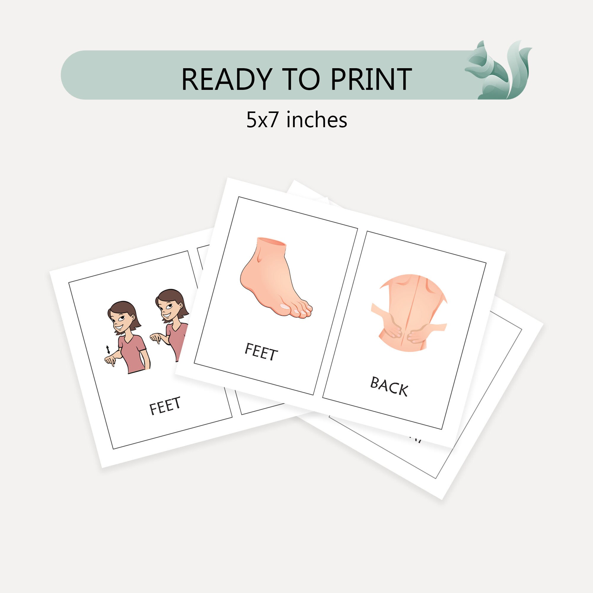 Body Parts Flashcards in American Sign Language, Educational ASL Body ...