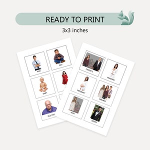 FAMILY MEMBERS & Stages Real Images Set - 44 Printable Flash Cards ...