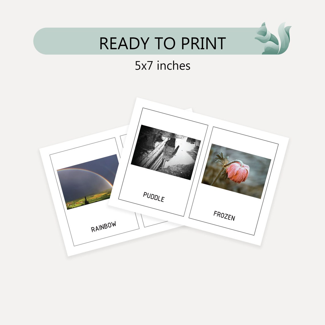 NATURE FLASHCARDS With Real Images - 82 Editable Solar System, Weather ...
