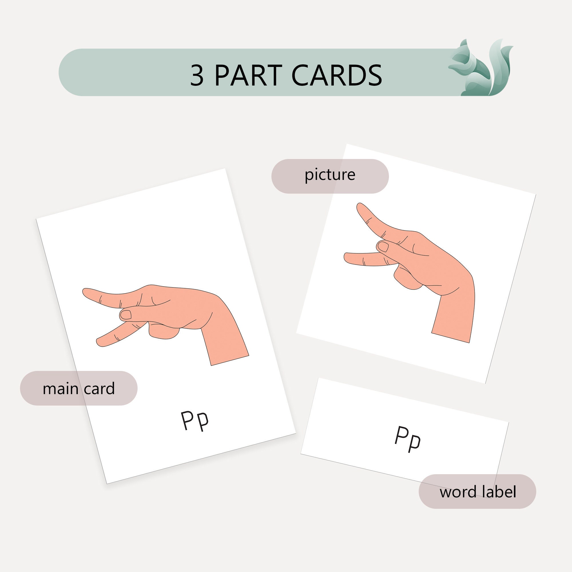ABC Sign Language Flash Cards, American Sign Language Alphabet Cards ...