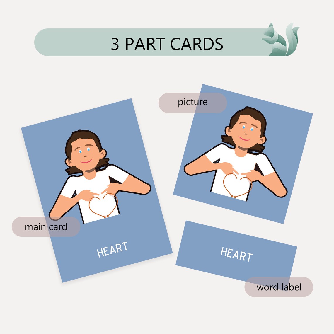 ASL SHAPES Flash Cards, American Sign Language 14 Shapes Flashcards ...