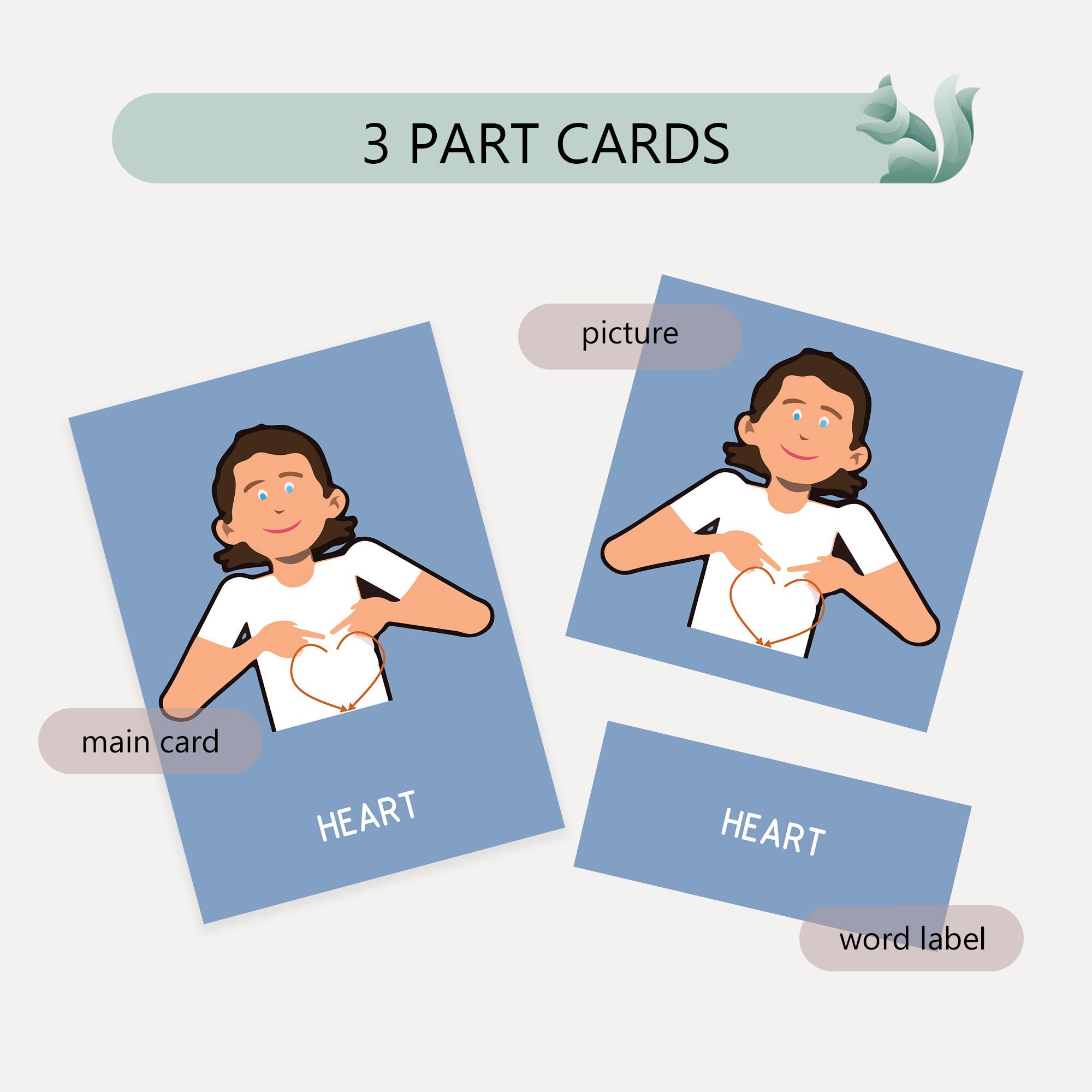 ASL SHAPES Flash Cards, American Sign Language 14 Shapes Flashcards ...