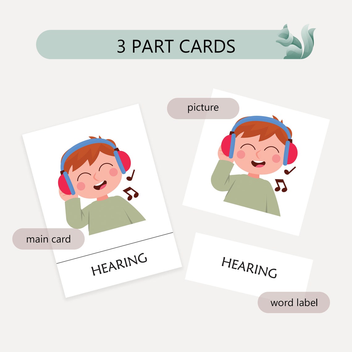 5 Senses Editable Flashcards, Printable Five Senses of Human Body ...