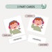 5 Senses Editable Flashcards, Printable Five Senses of Human Body ...