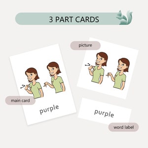 Editable American Sign Language Colours Flashcards for Learning, Catchy ...