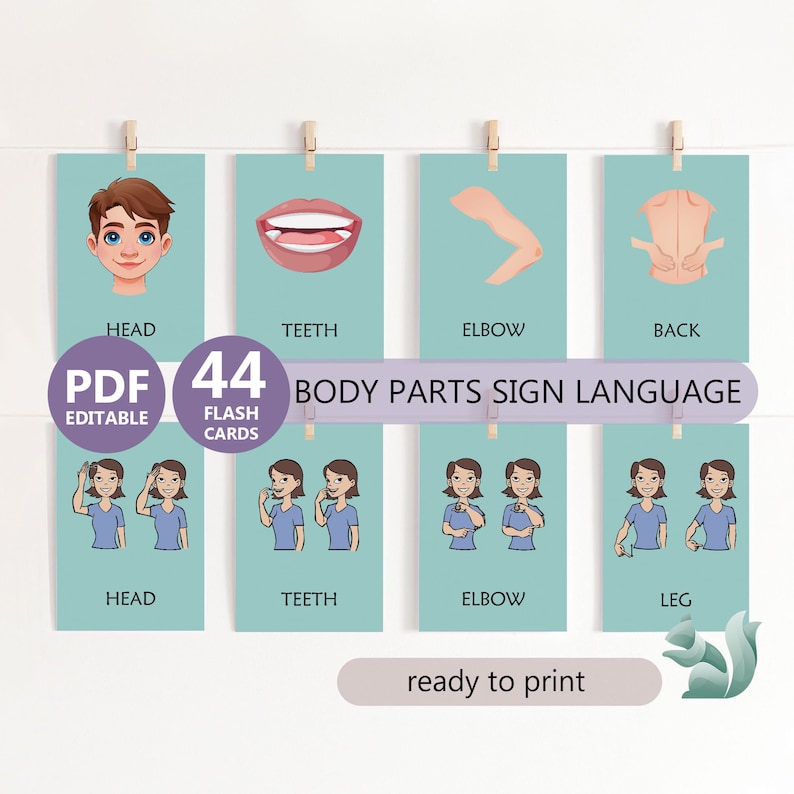 Body Parts Charts in Sign Language, American Sign Language Body Parts ...